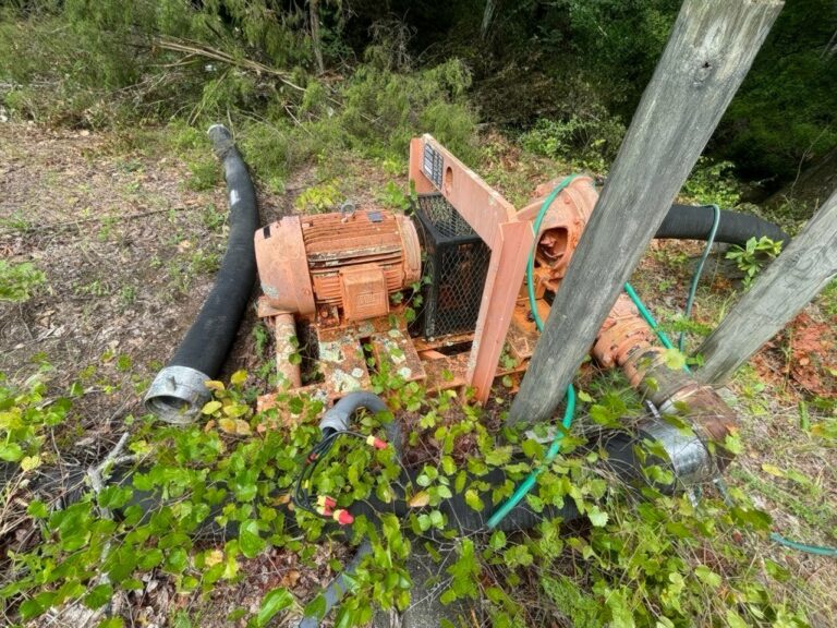 Case Study - Berkeley Pond Pump